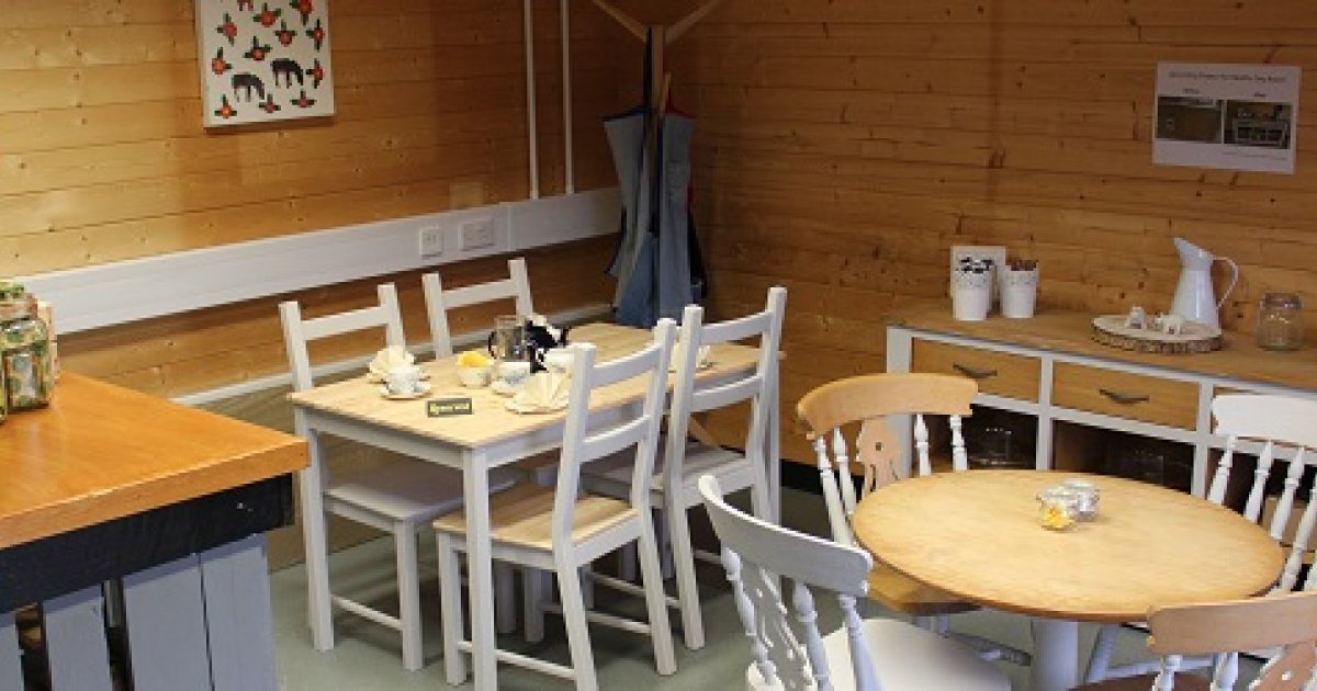 College students open Tea Room to boost key skills | St Piers